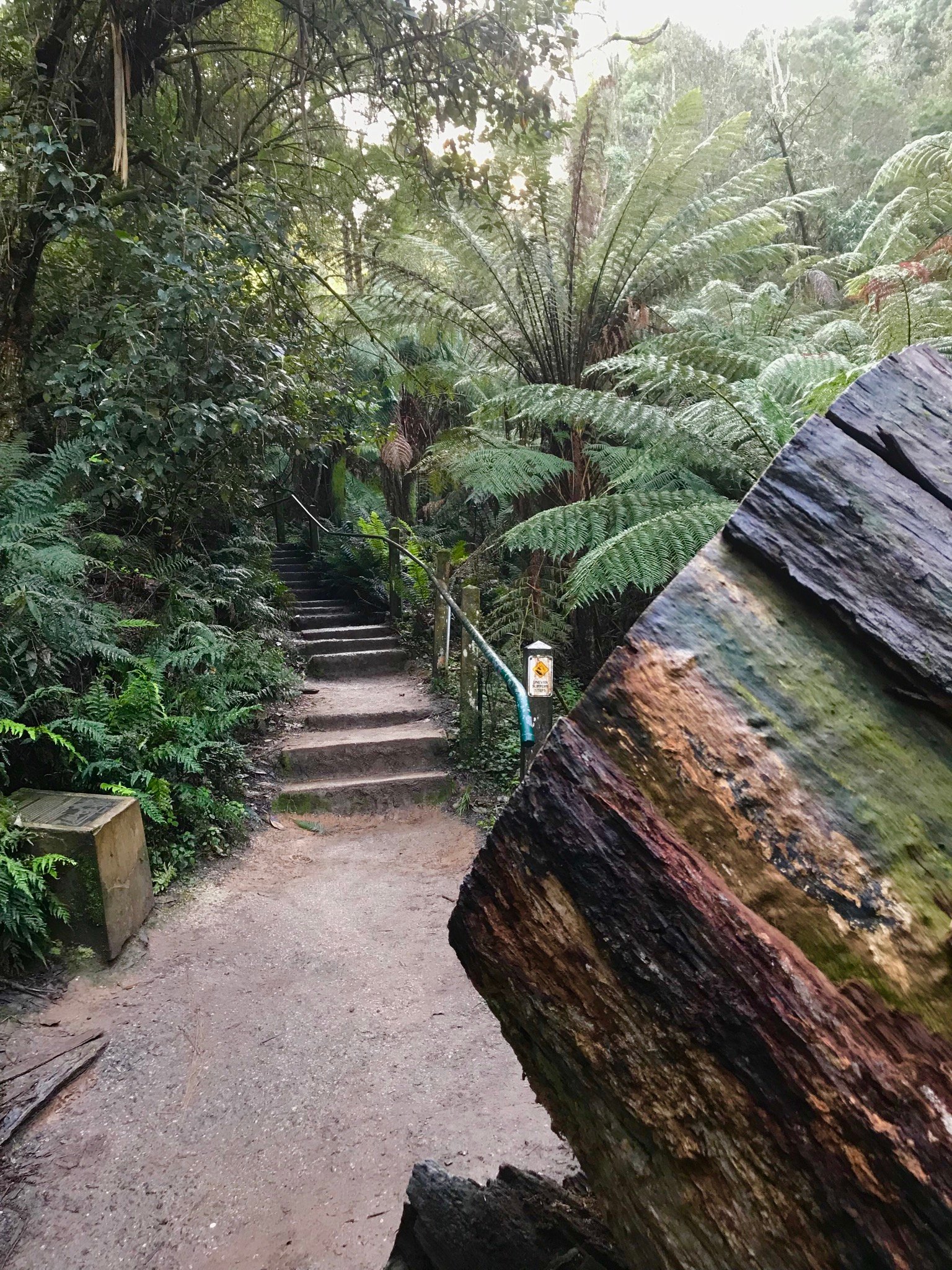 Kokoda Track (1,000 Steps) Memorial Walk » The Walking Traveller